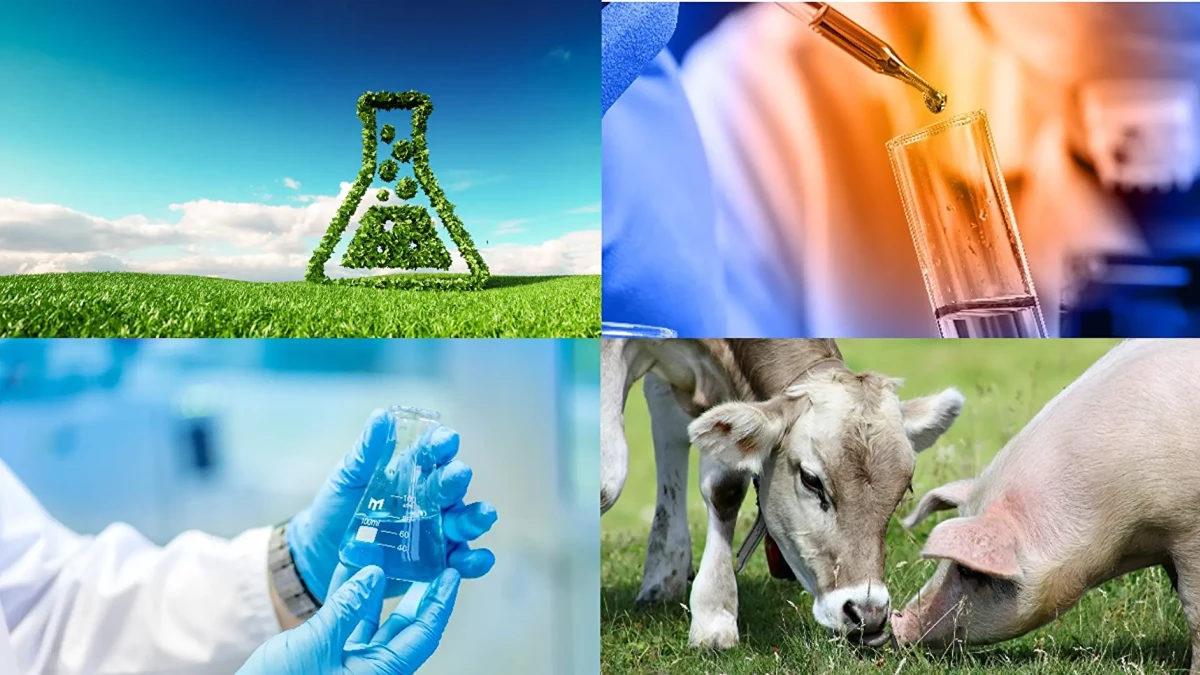 Triskelion Joins CERTANIA Group - CERTANIA